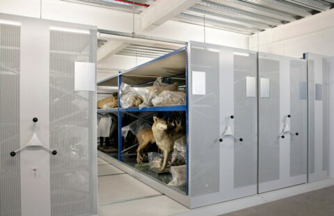 What Are The Storage Solutions For Museums | Ecospace